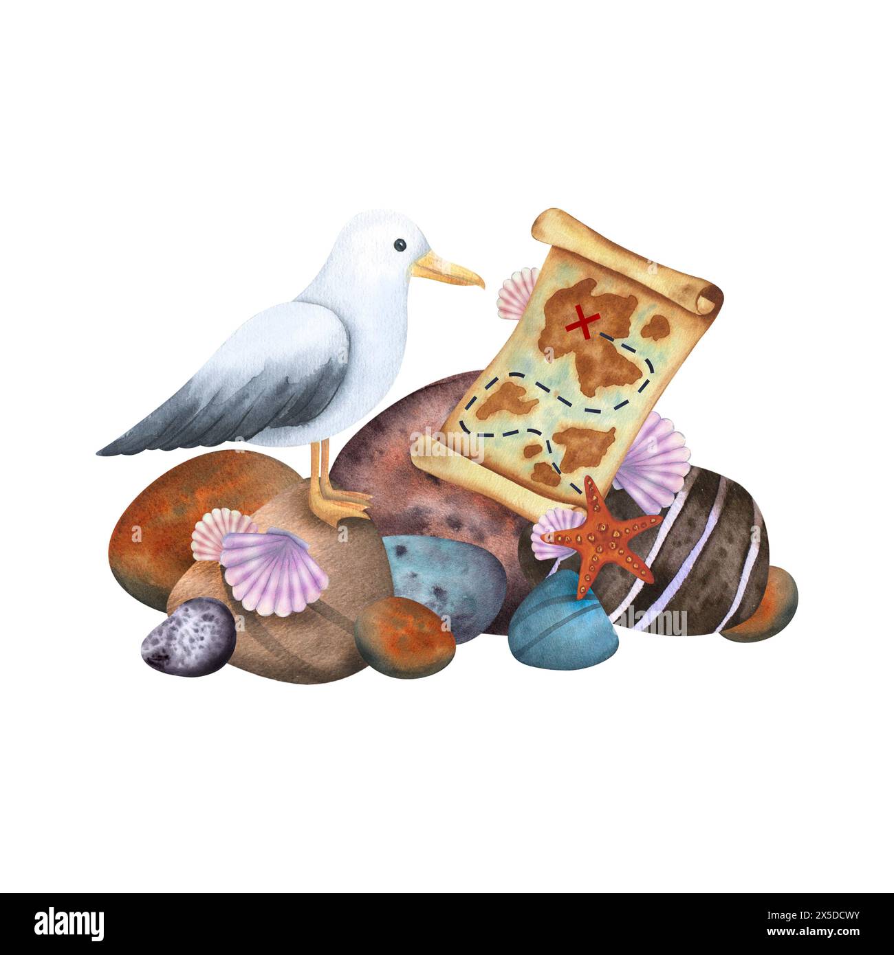 Sea stones, starfish, treasure map, seagull, shells. Watercolor ...