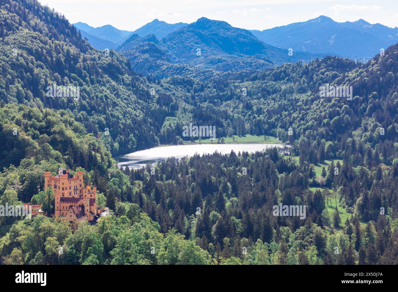 Mountain landscape with a castle in the middle of the forest ...