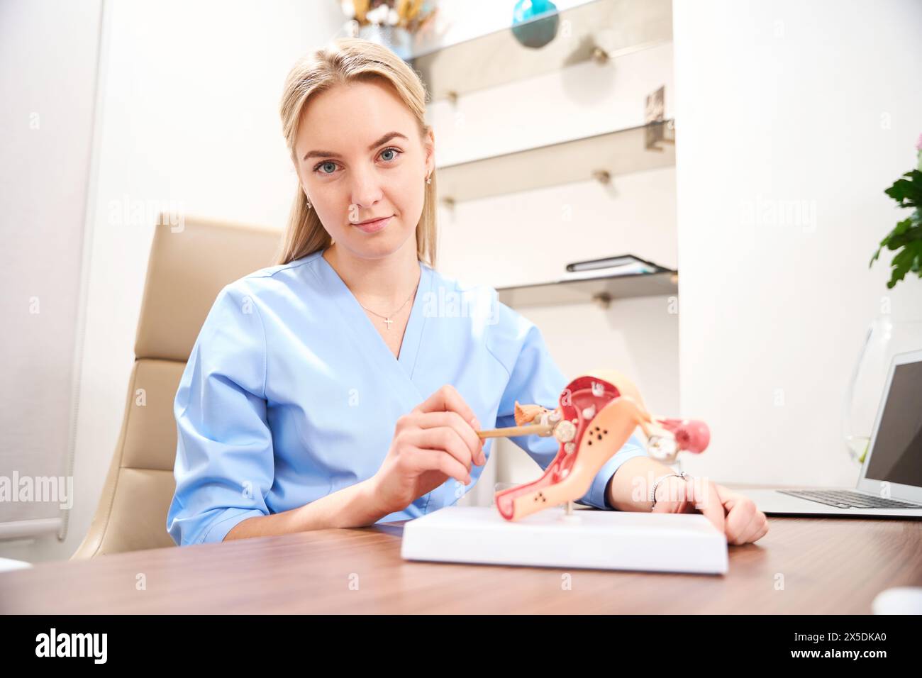Female gynecologist showing uterus hi-res stock photography and images ...