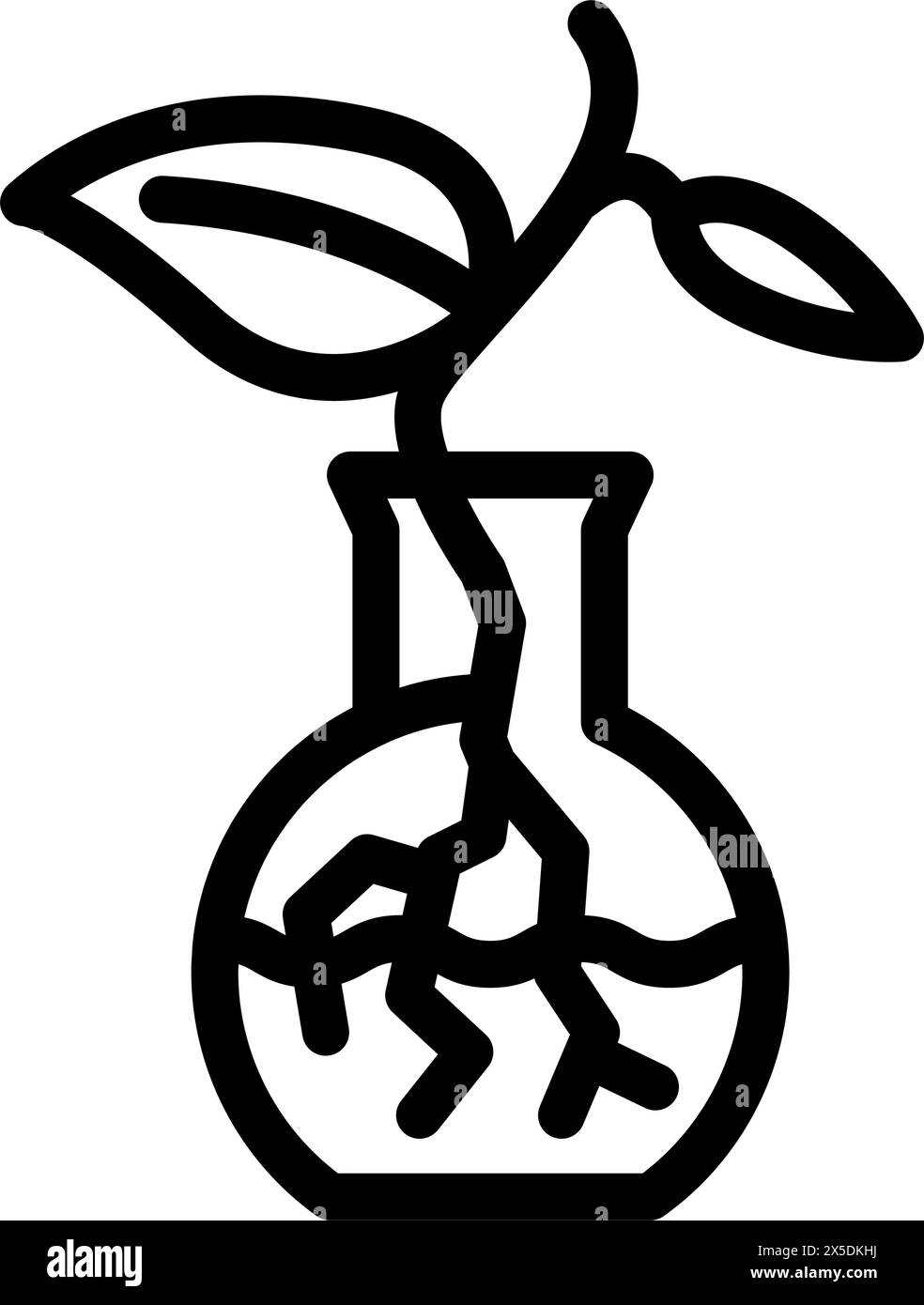 plant propagation urban gardening line icon vector illustration Stock ...