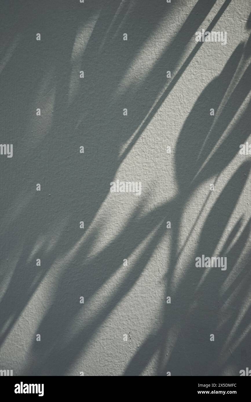 Shadow vertical overlay natural botany outdoor against textured ...