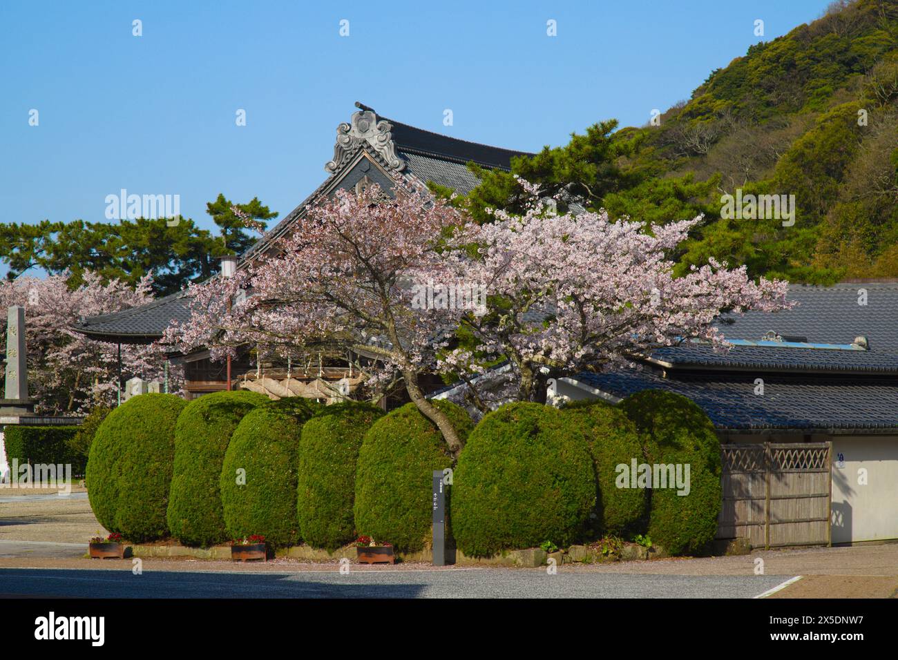 Japan, Izumo, Izumo taisha, shinto shrine Stock Photo - Alamy