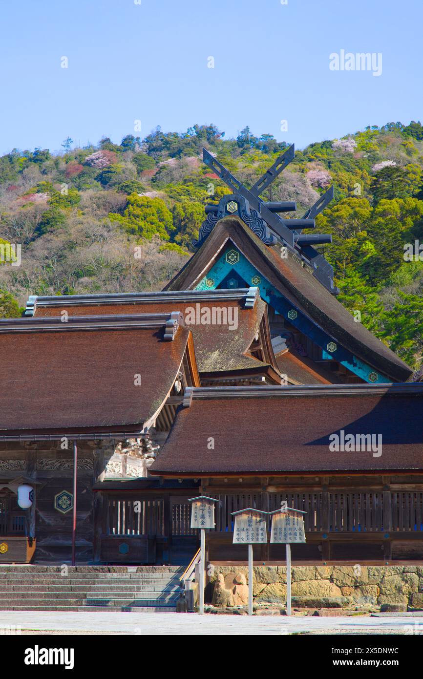 Japan, Izumo, Izumo taisha, shinto shrine Stock Photo - Alamy