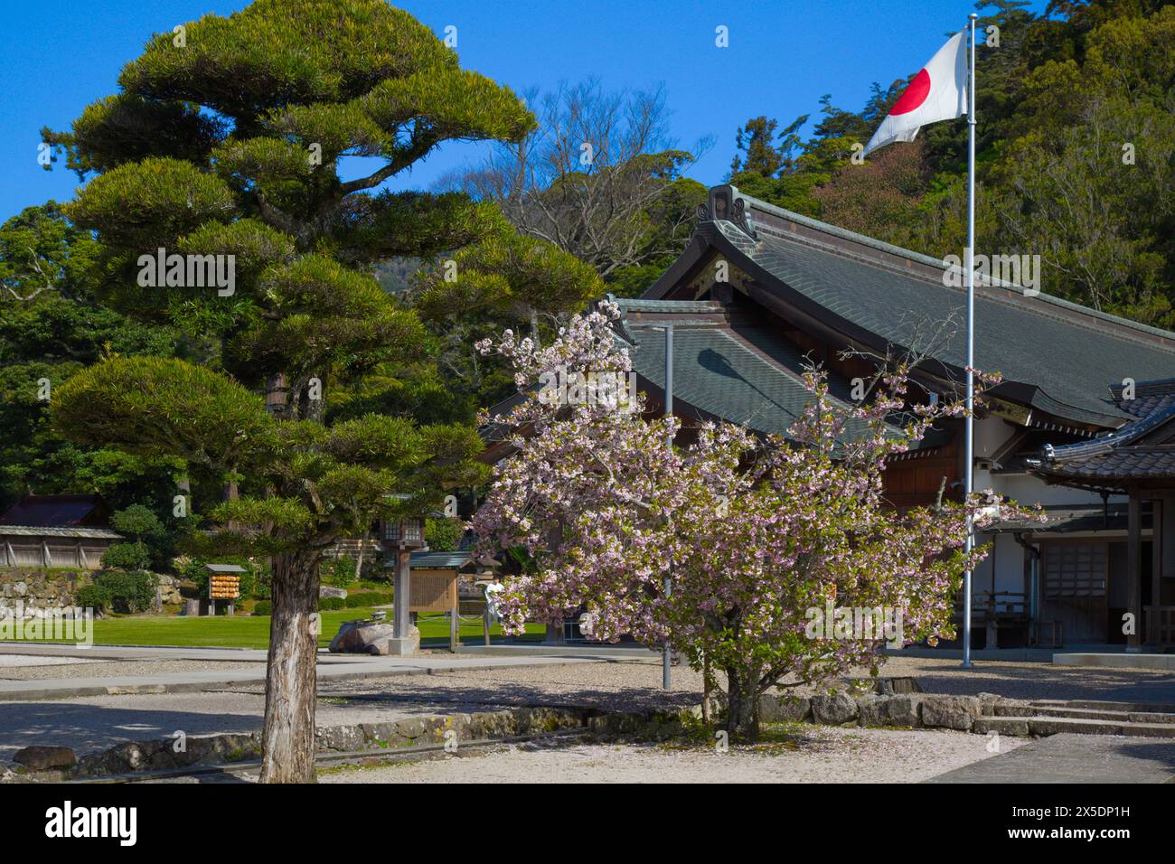 Japan, Izumo, Izumo taisha, shinto shrine Stock Photo - Alamy