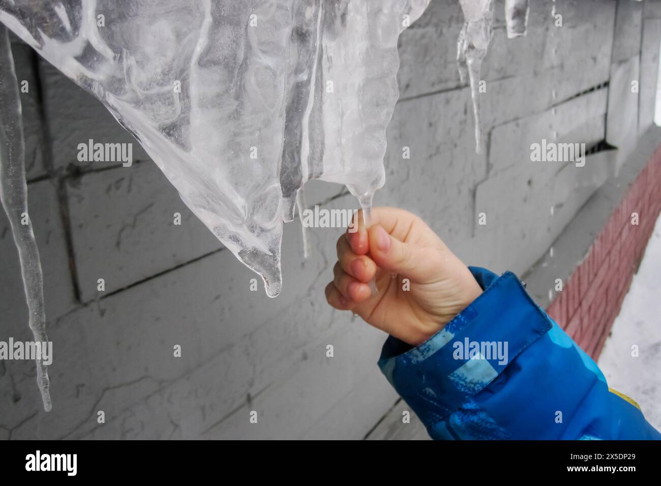 Child's hand touching melting icicle. beginning of spring, thaw ...