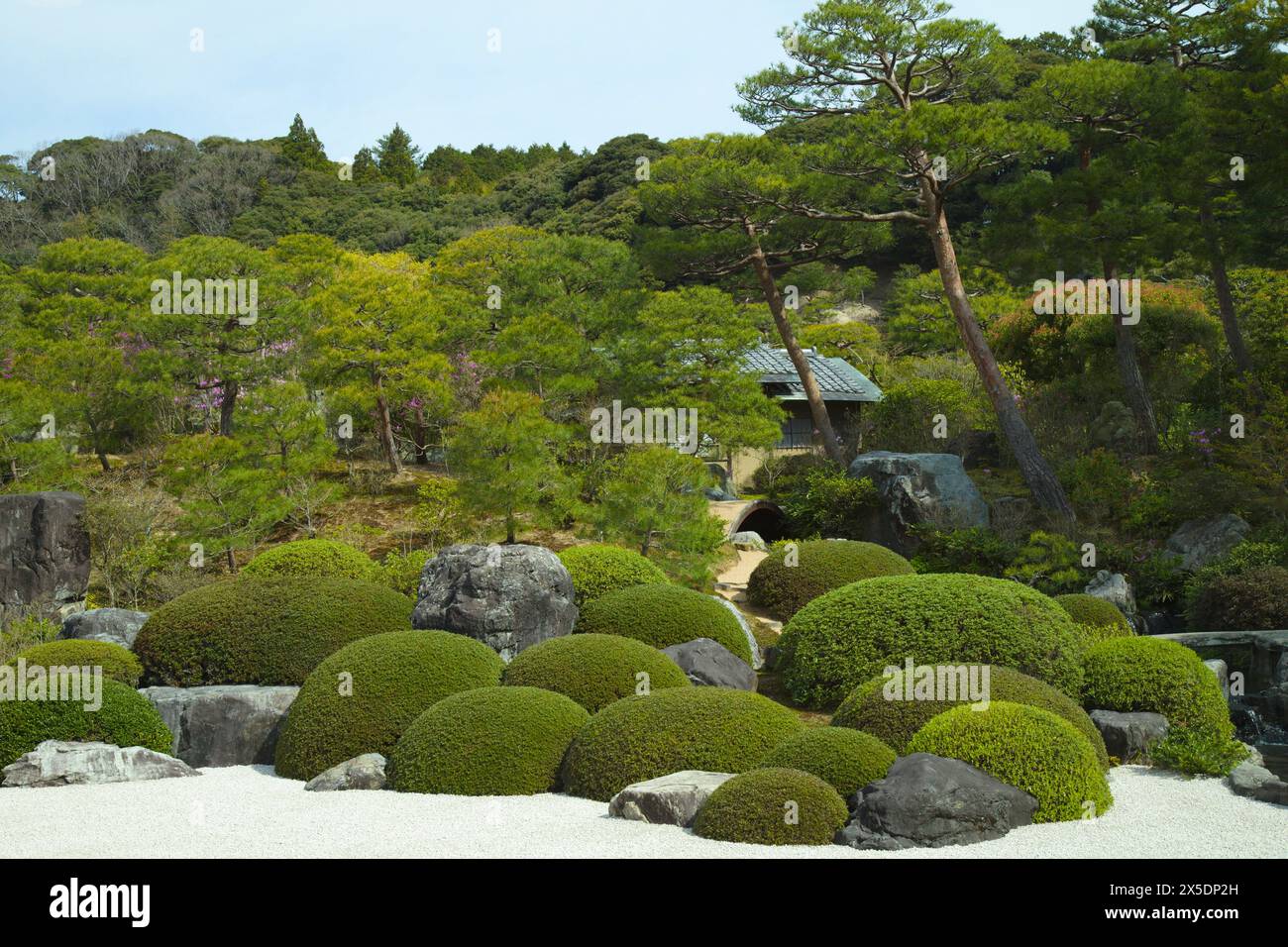 Japan, Matsue, Adachi Art Museum, garden Stock Photo - Alamy