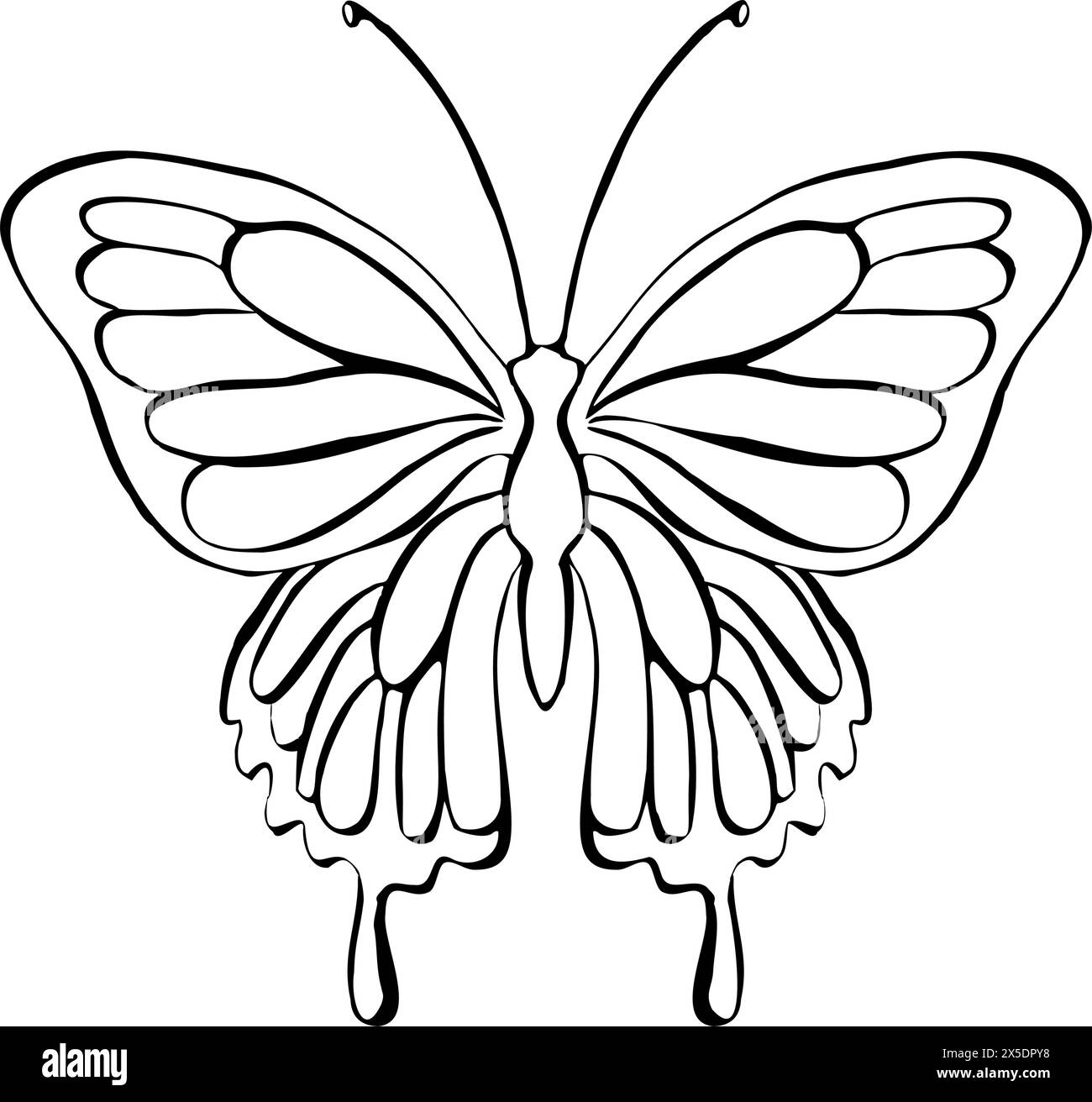 Line butterfly, vector illustration. Hand drawn contour sketch on ...