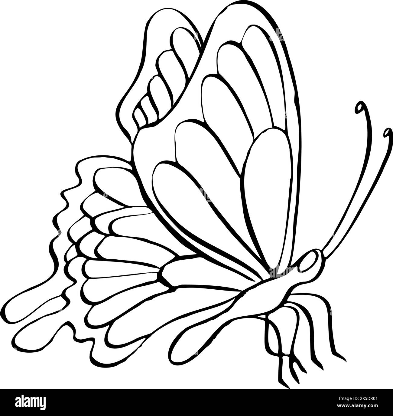 Line butterfly, vector illustration. Hand drawn contour sketch on ...