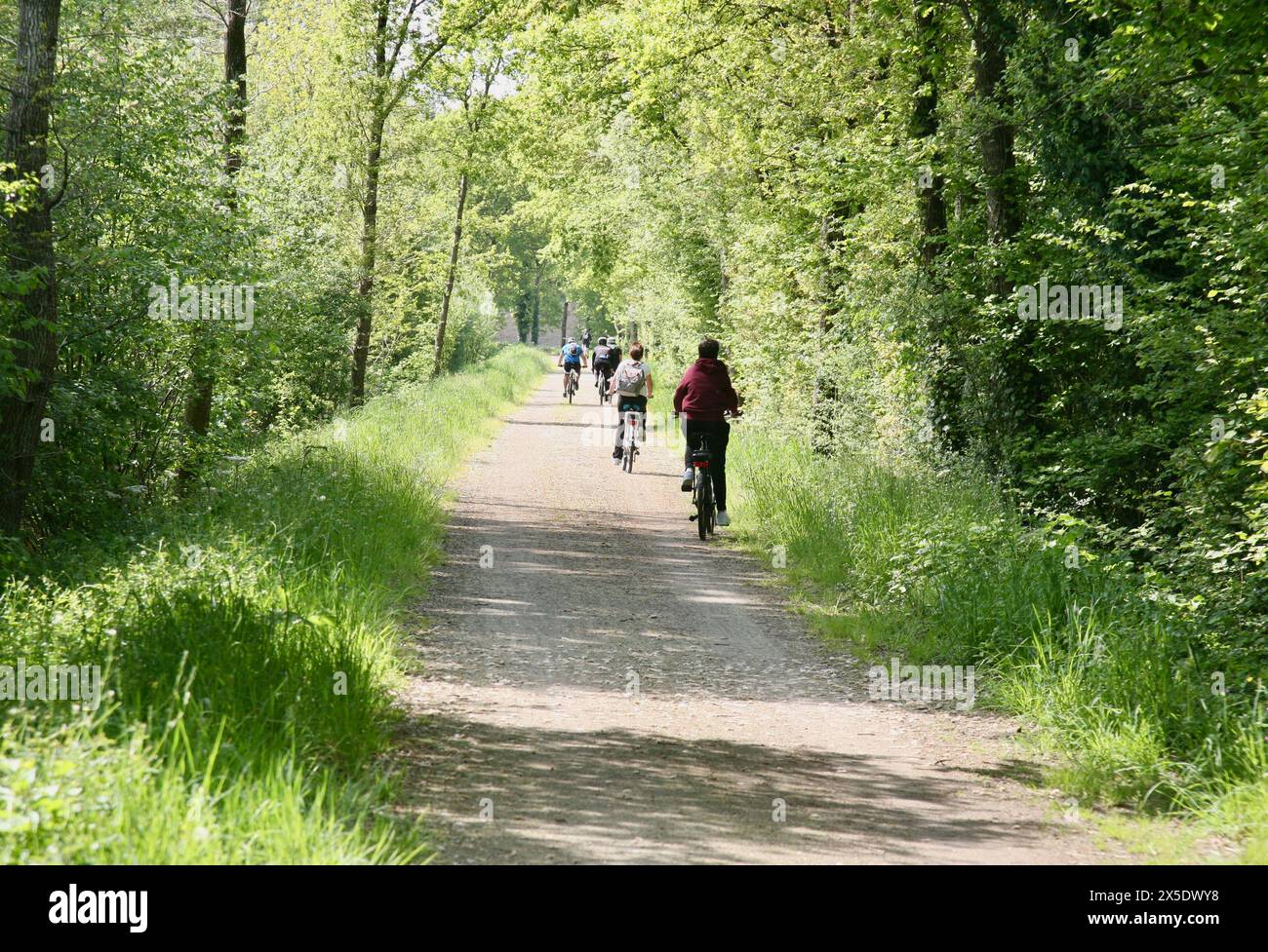 Cyclists on the Veloscenic Paris to Mont-Saint-Michel cycle route at ...