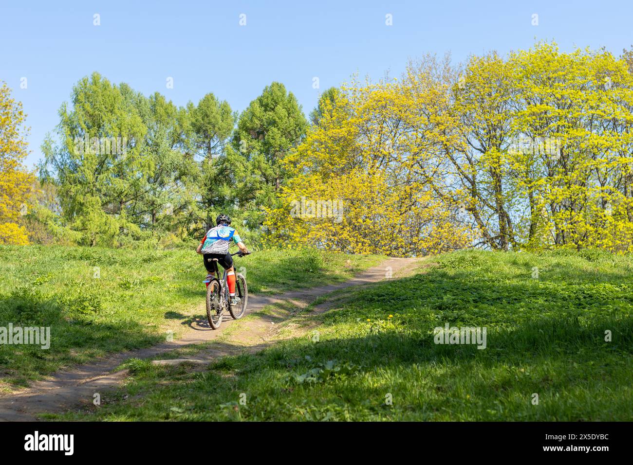 Cyclist in sports uniform and helmet rides up hill in verdant park on ...