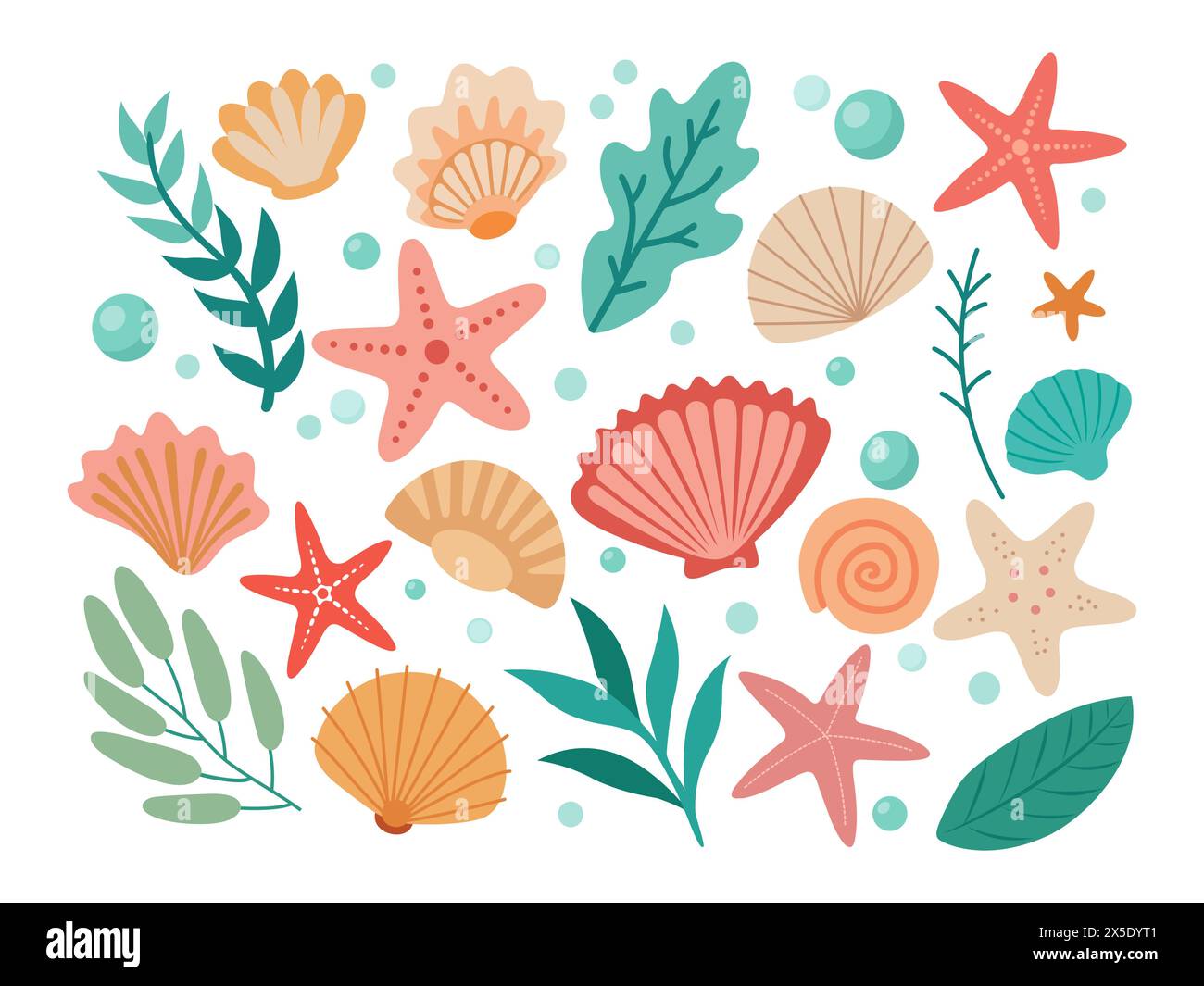 Set of colored sea shells, seaweeds, starfish Stock Vector Image & Art ...