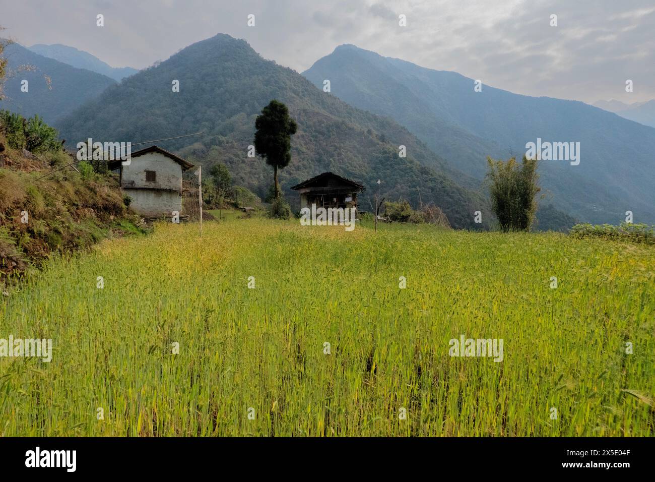 Traditional village scenes in the Himalayan foothills on the ...