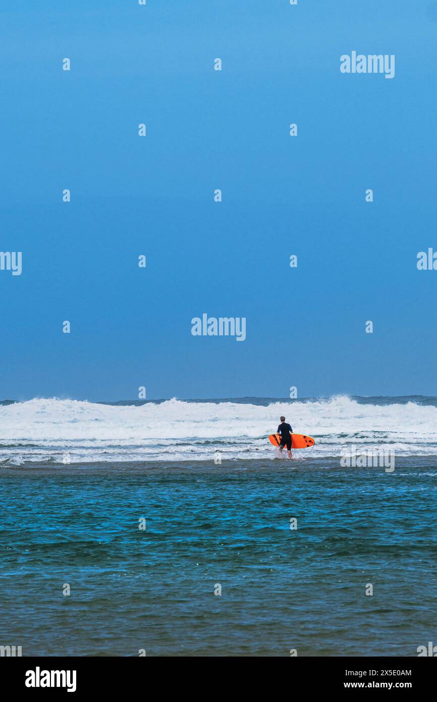 A surfer carrying his red surfboard into the waves the sea at Crantock ...