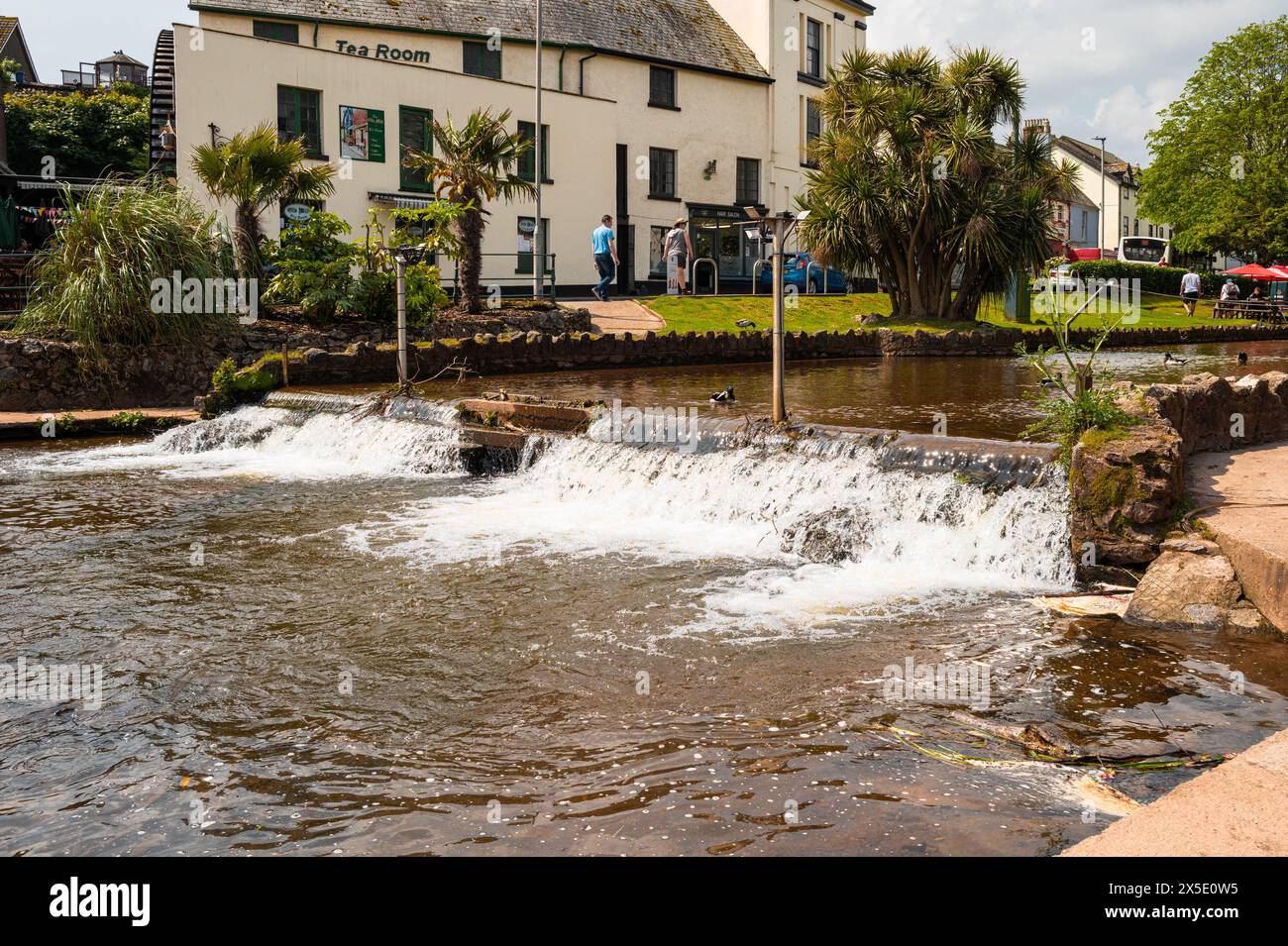Dawlish Water that runs through the centre of the town in Devon ...