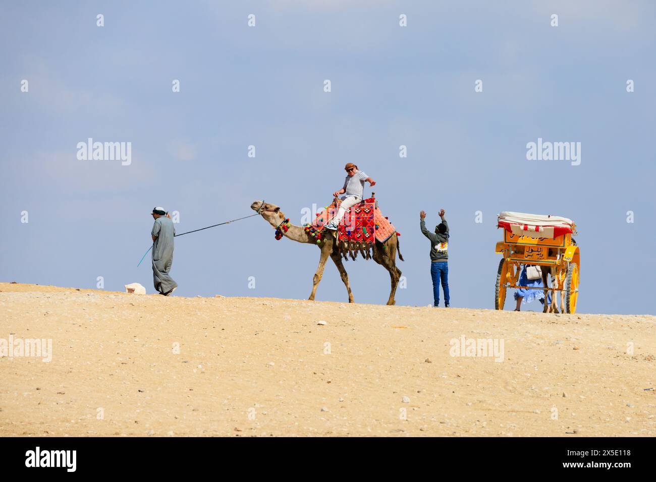 Tourist takes a camel ride in the Sahara Desert while gesturing to cart ...