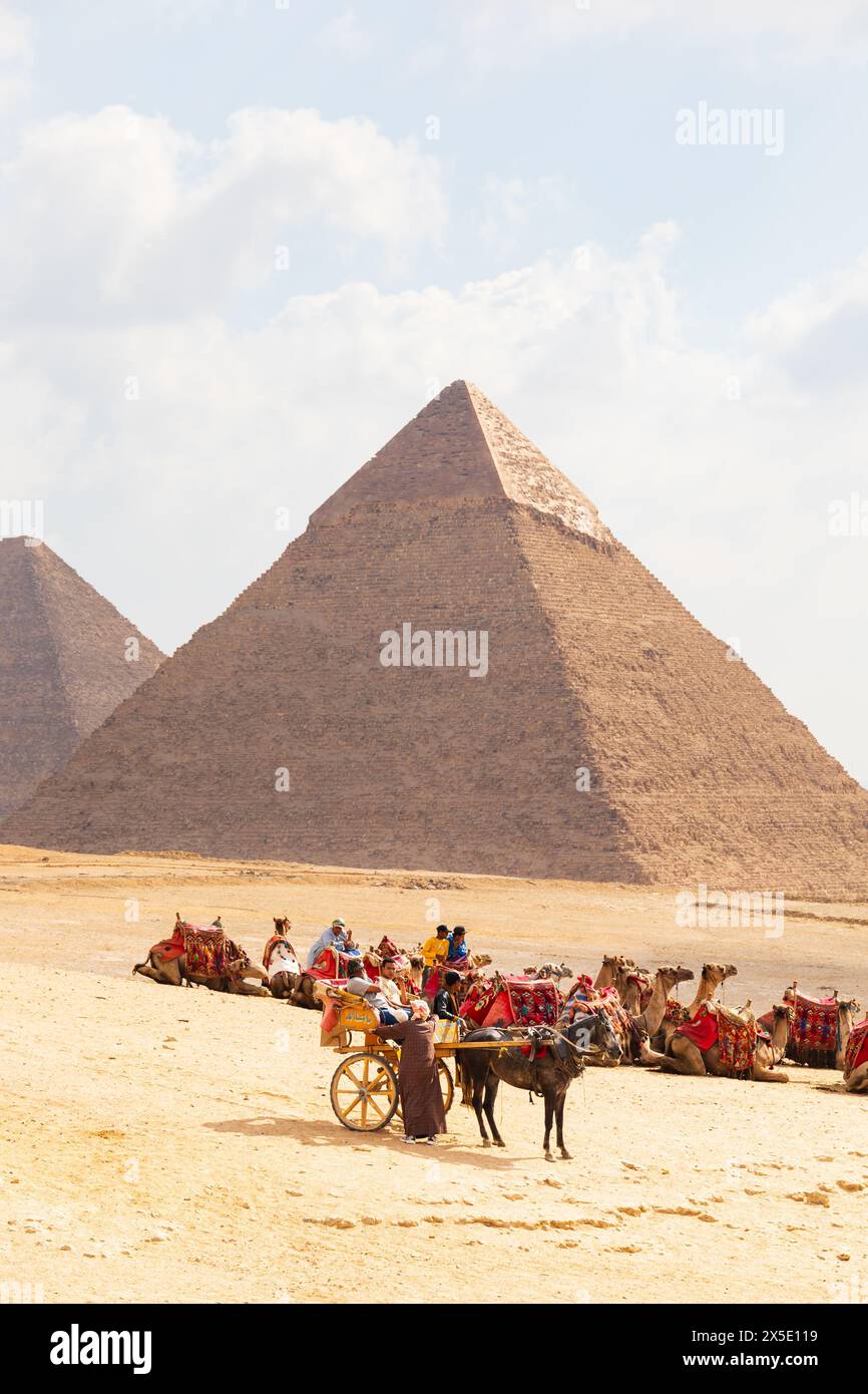 Egyptian camel pyramids behind hi-res stock photography and images - Alamy