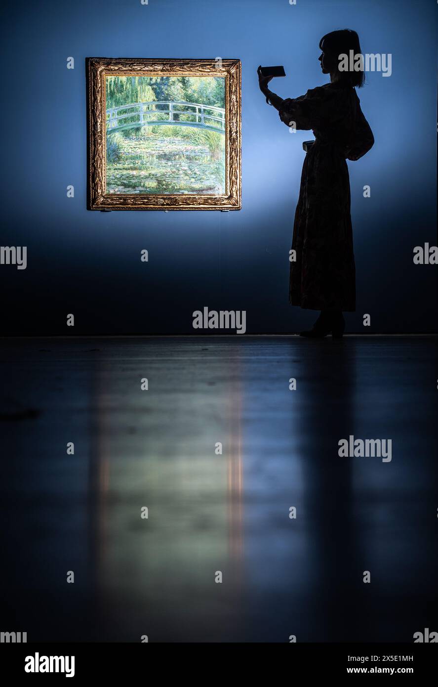Dr Beatrice Bertram with Monet's 'The Water-Lily Pond' which will be ...