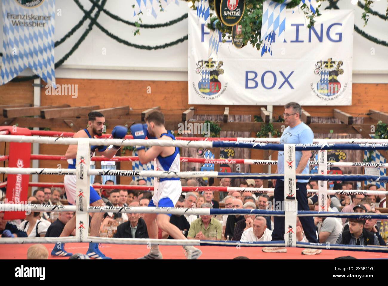 TSV 1860 Boxer im Ring Zuschauer Muenchen 03.05.2024 Truderinger Buam ...