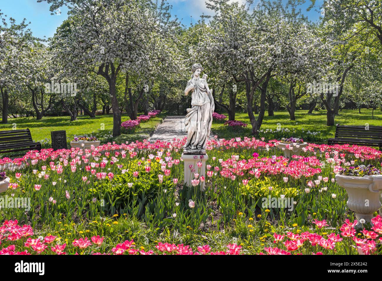 Marble statue of ancient goddess Diana in spring in park with blooming ...