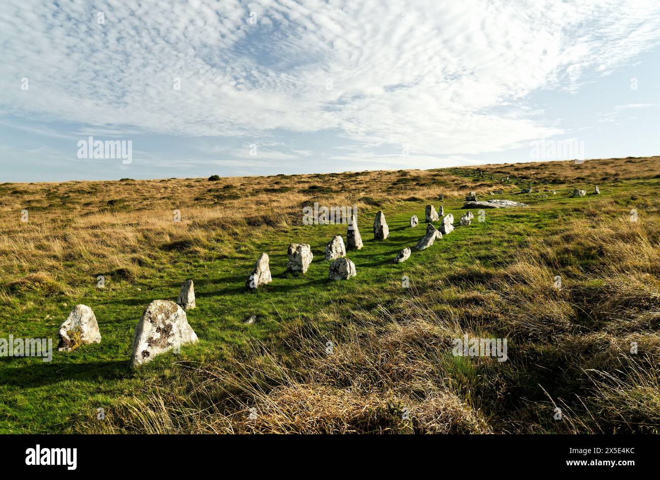 Shovel Down stone rows prehistoric alignments complex. Row 2 rises to ...