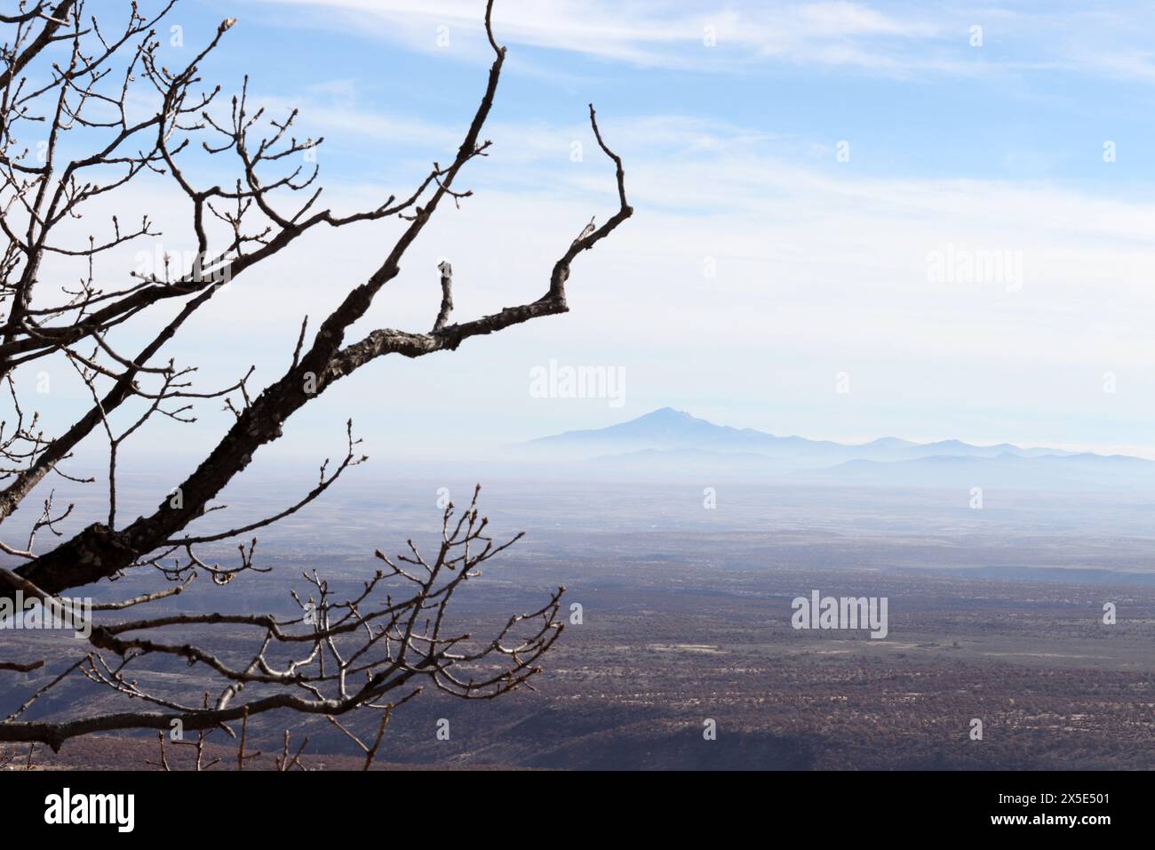 Cloudy sky, tree branch and mountain landscape Stock Photo - Alamy