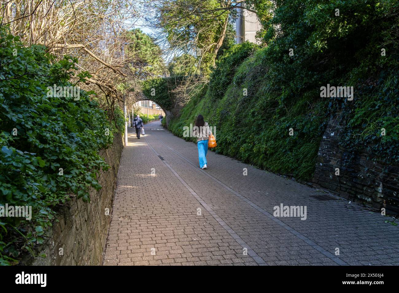 Treffrey mineral tramway hi-res stock photography and images - Alamy