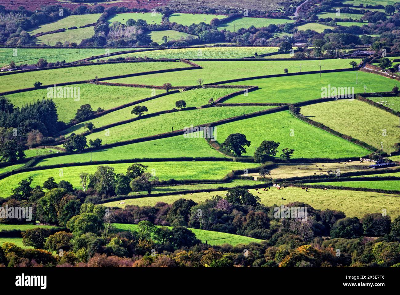 Dartmoor National Park landscape near Widecombe aka Widecombe in the ...