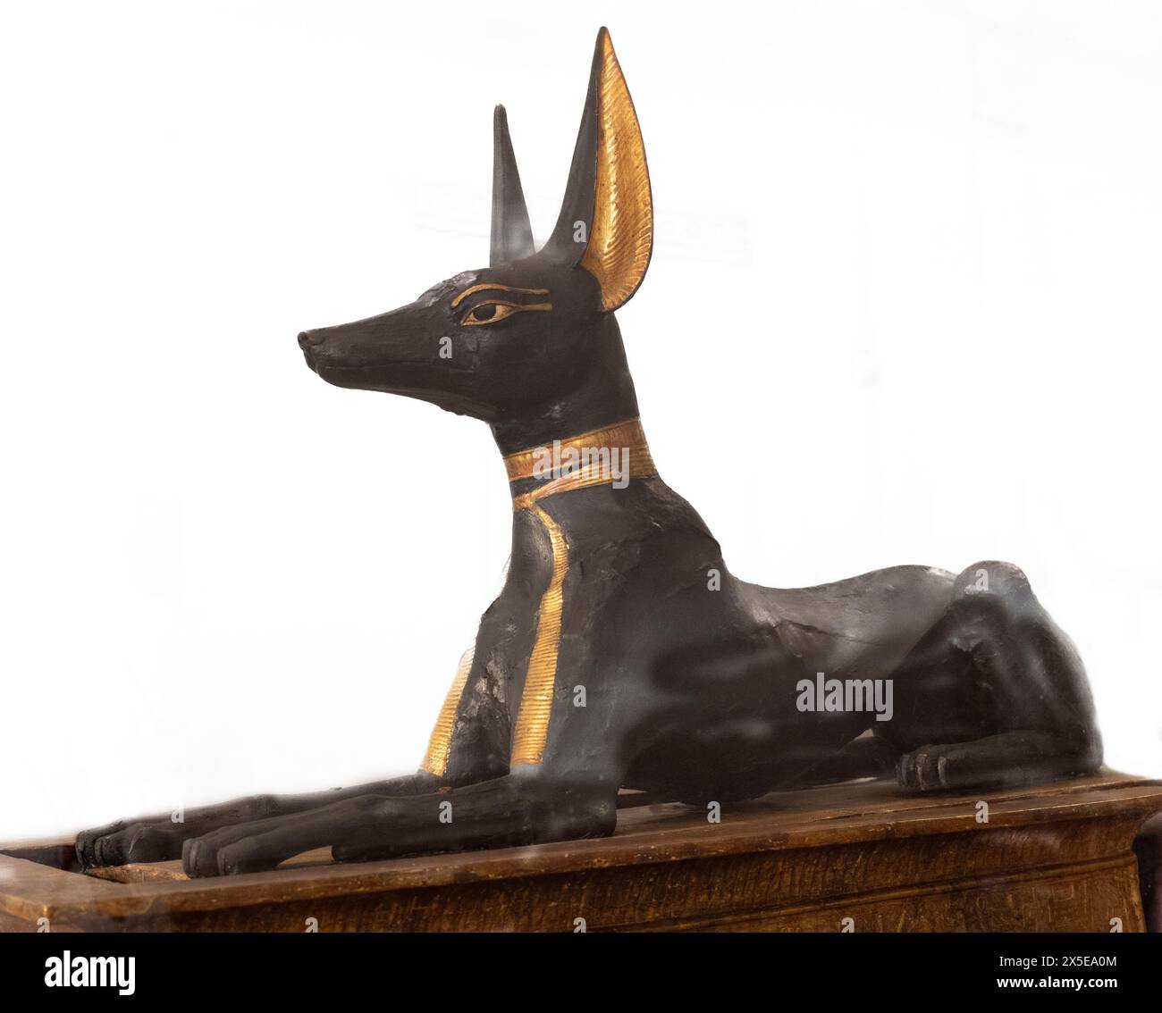 The jackal god Anubis, depicted in a stone sculpture. Found in carvings ...