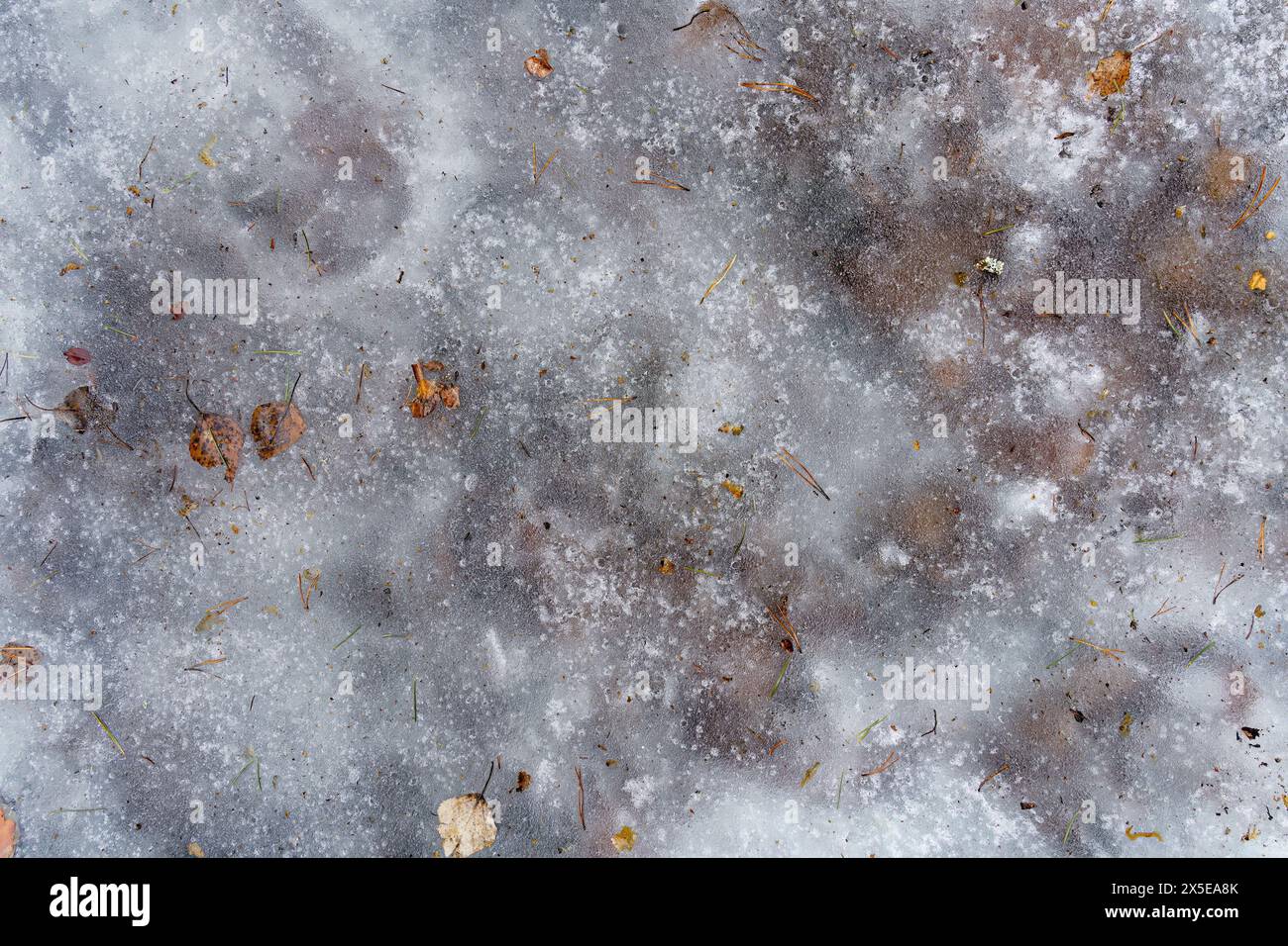 Frosty ground cover hi-res stock photography and images - Alamy