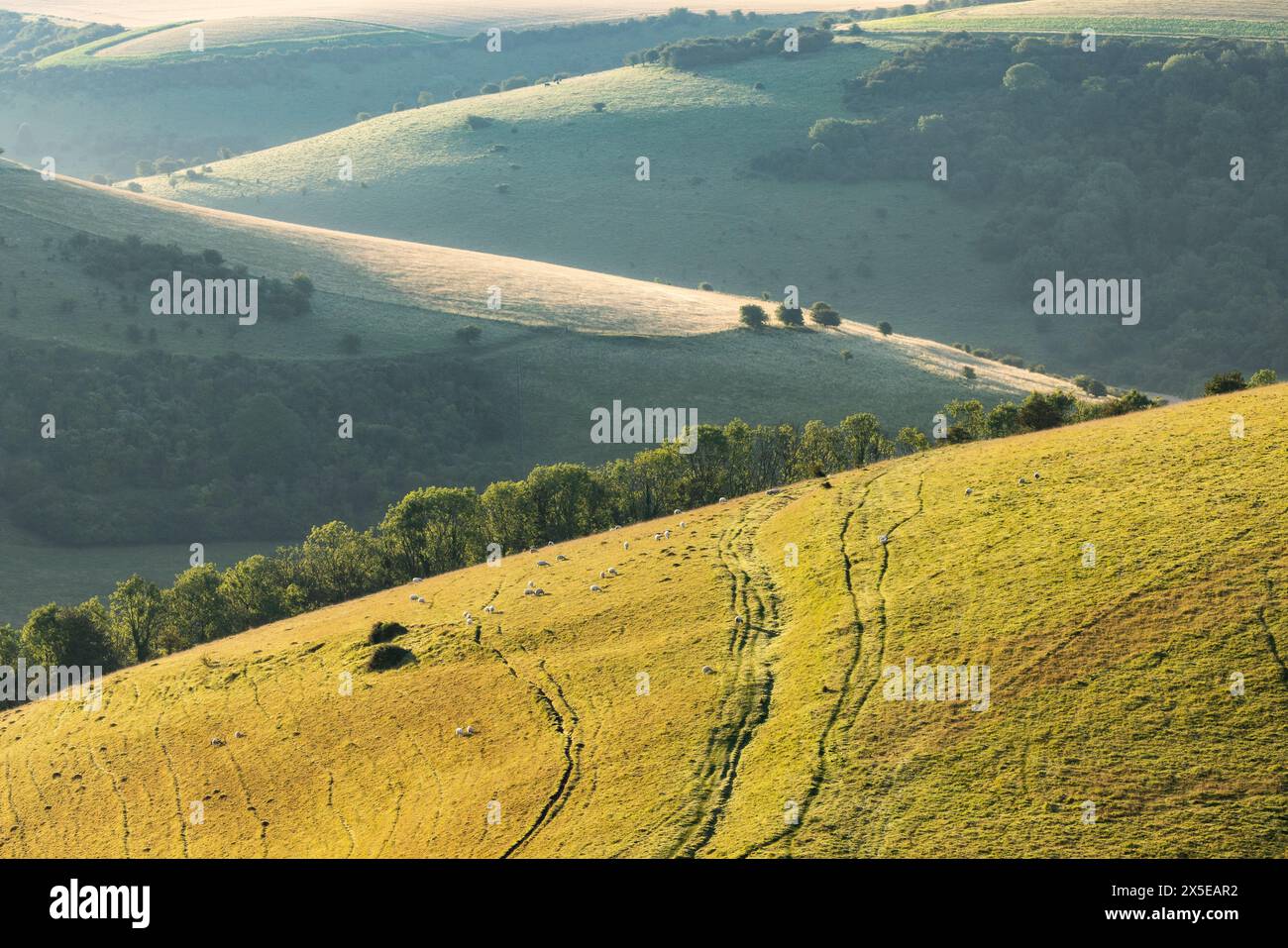 Rolling landscape around Melbury Down from Melbury Hill, Cranborne ...
