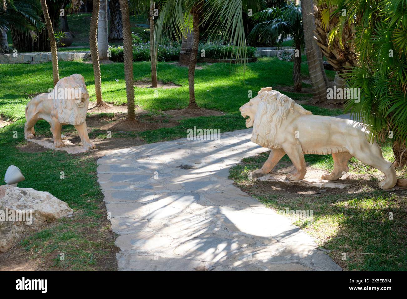 Feline inca hi-res stock photography and images - Alamy