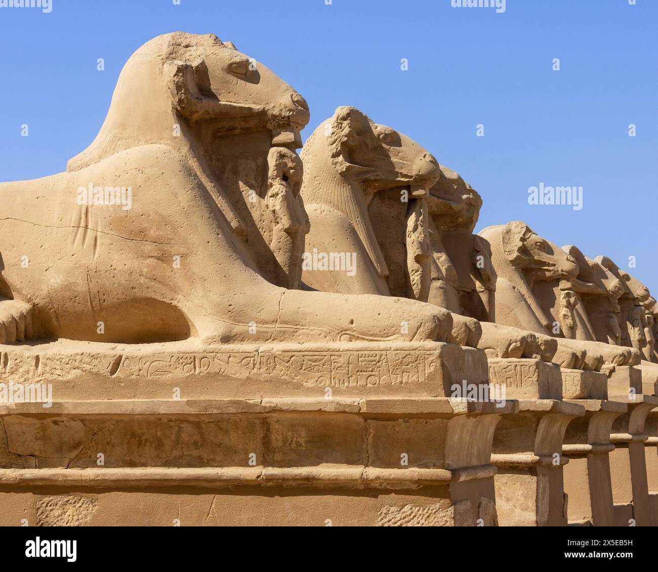 Rams head Sphinxes on The Kings Festivities Road, or Rams Road, between ...
