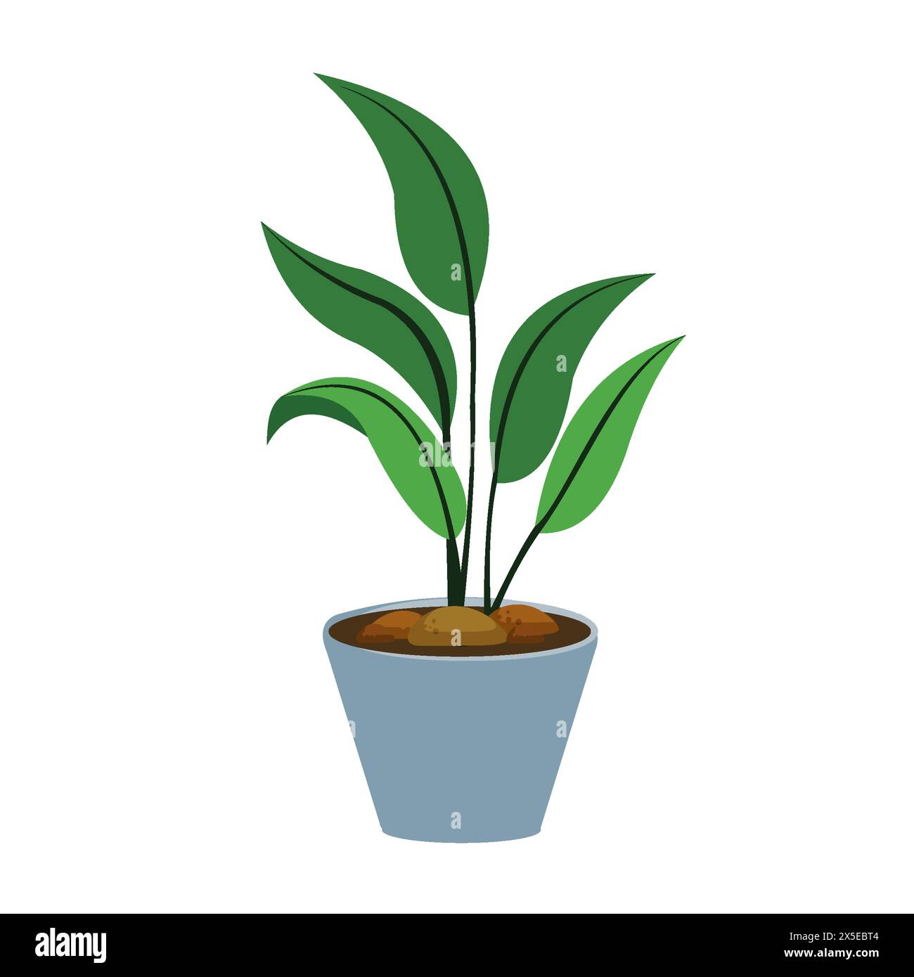 Indoor growth Cut Out Stock Images & Pictures - Alamy