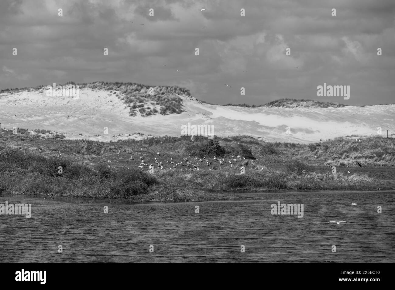 the dutch island Ameland Stock Photo - Alamy