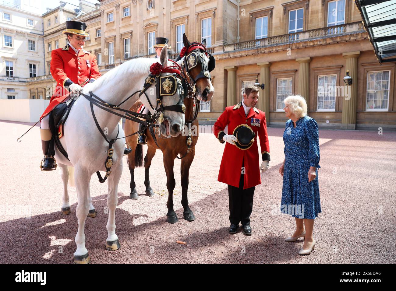 Queen Camilla as she hosts a reception at Buckingham Palace in London ...