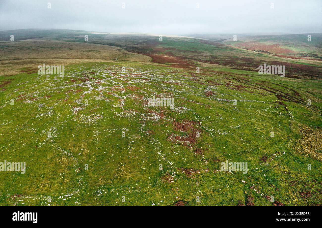 Whittenknowles Rocks prehistoric enclosed settlement, Drizzlecombe ...
