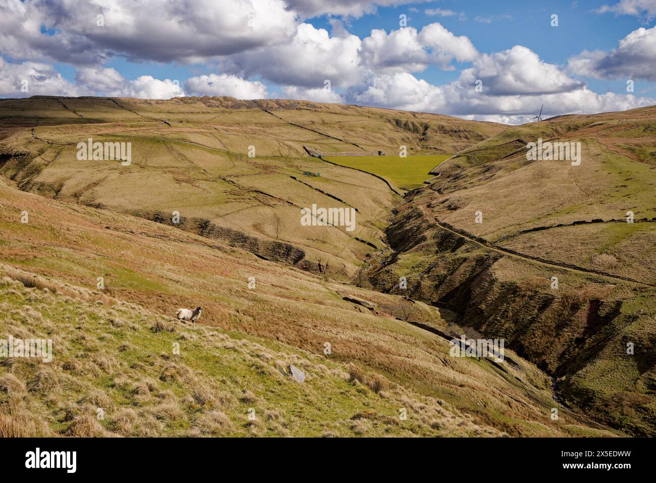 Early spring in the West Pennines Stock Photo - Alamy