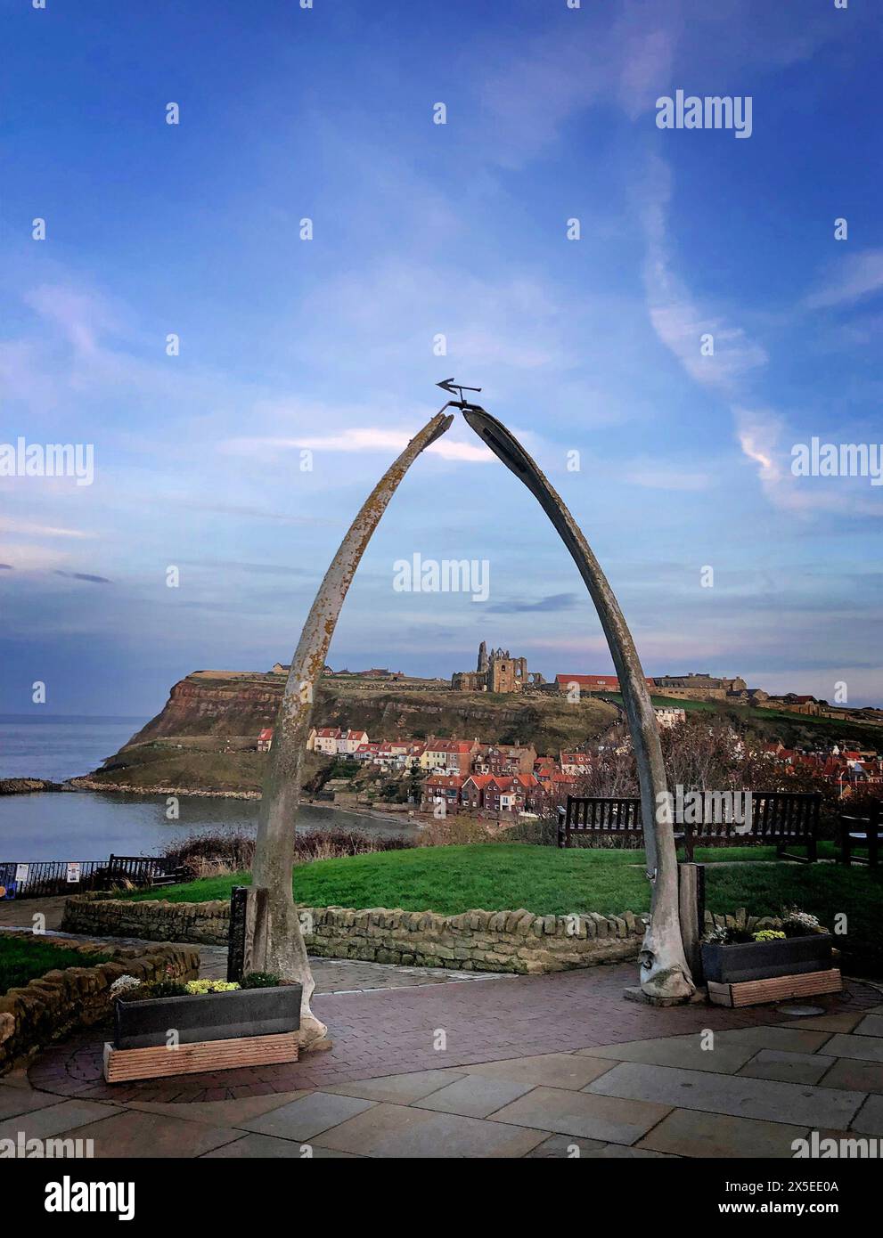 Whale bone replica hi-res stock photography and images - Alamy