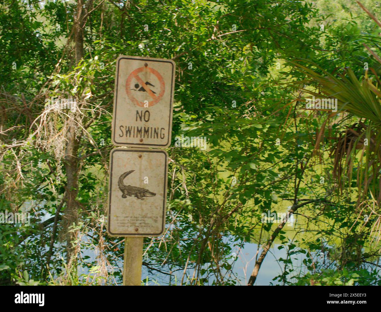 Old white no swimming alligator sign hi-res stock photography and ...