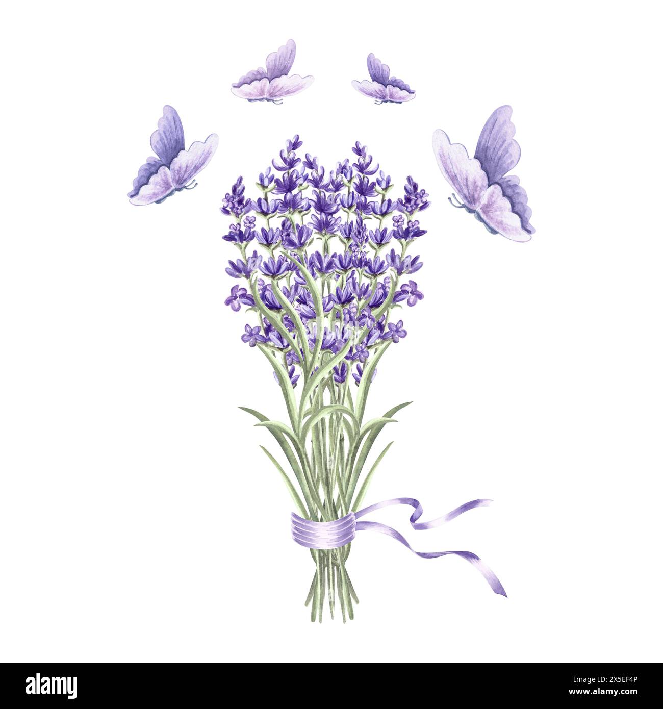 Lavender and butterflies. Provence floral bouquet purple with ribbon ...