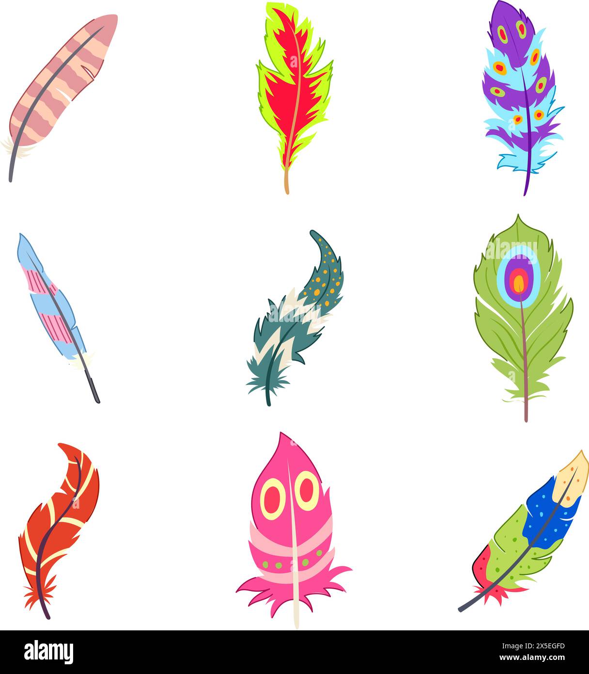 feather exotic bird set cartoon vector illustration Stock Vector Image ...
