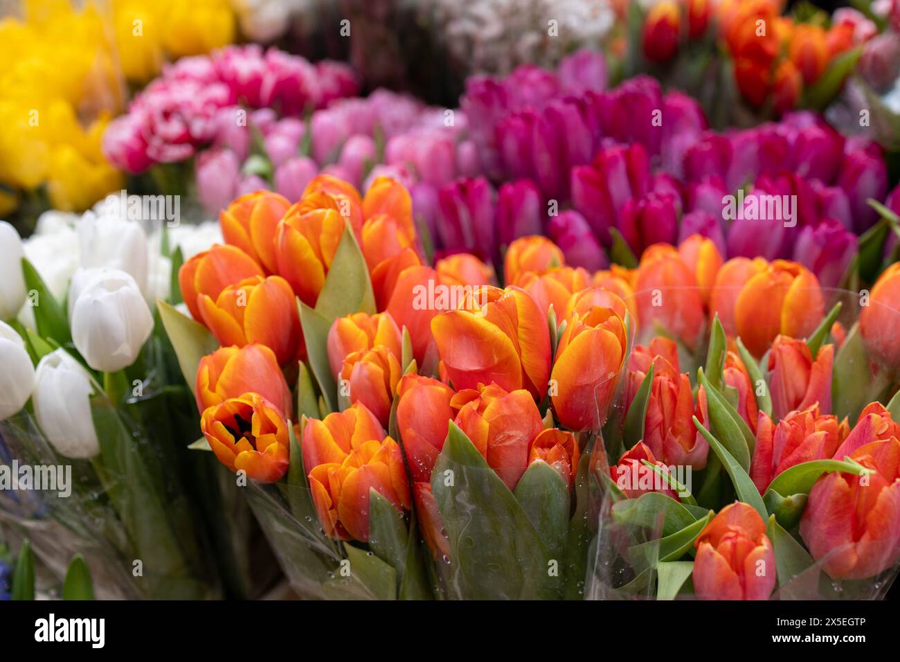 DUBLIN, IRELAND - 25 MARCH 2023: GameStop store with a prominent logo ...