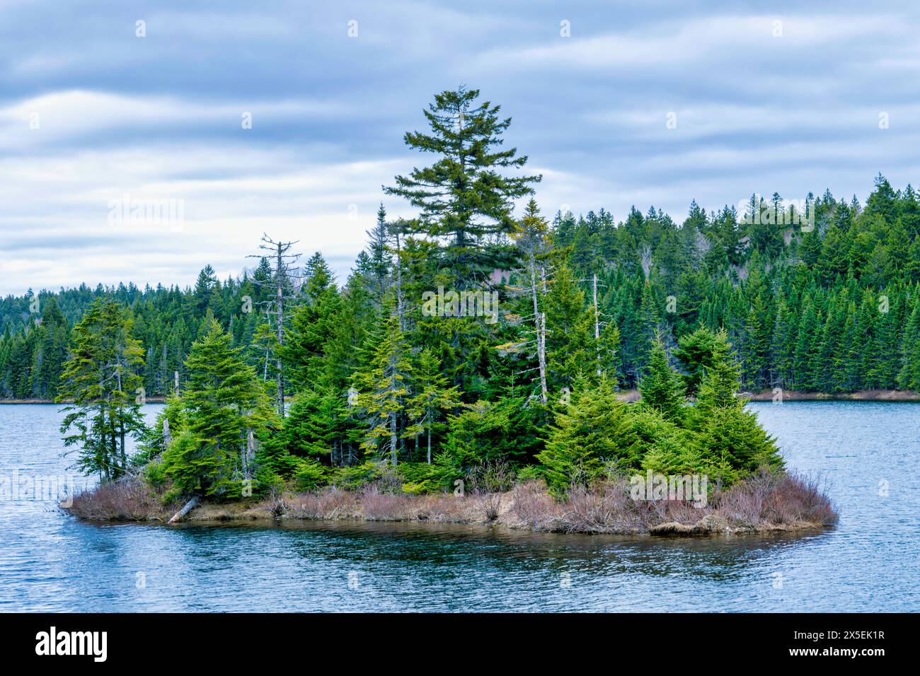Island in fundy national park hi-res stock photography and images - Alamy