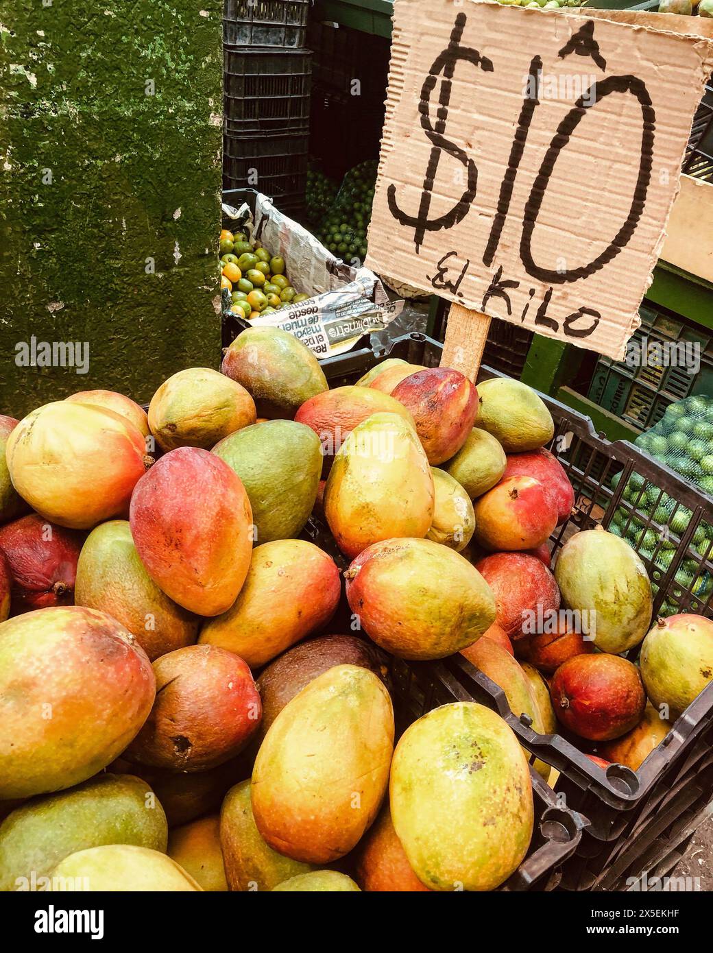 Bunch of mangoes at a fruit stand. Guadalajara, Mexico Stock Photo - Alamy