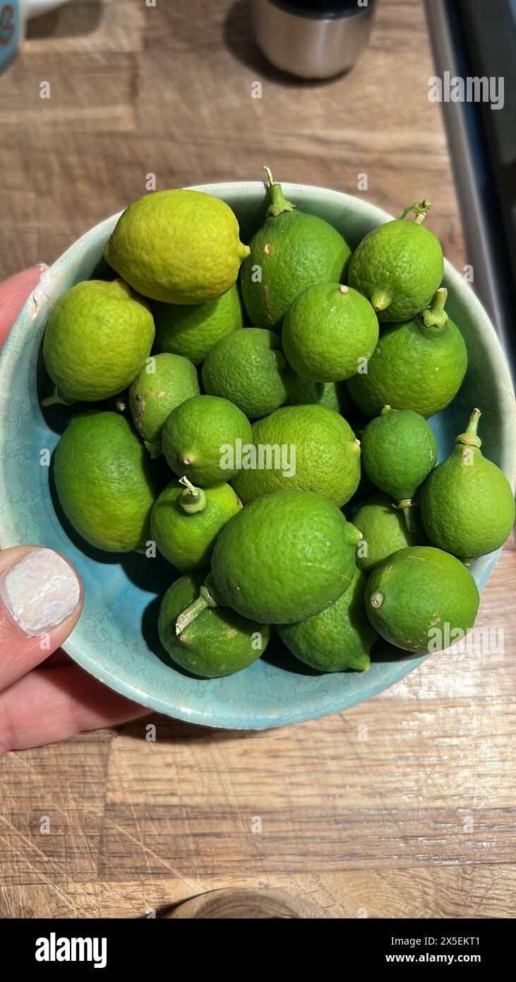 Close-Up of lime and sliced lime. Guadalajara, Mexico Stock Photo - Alamy