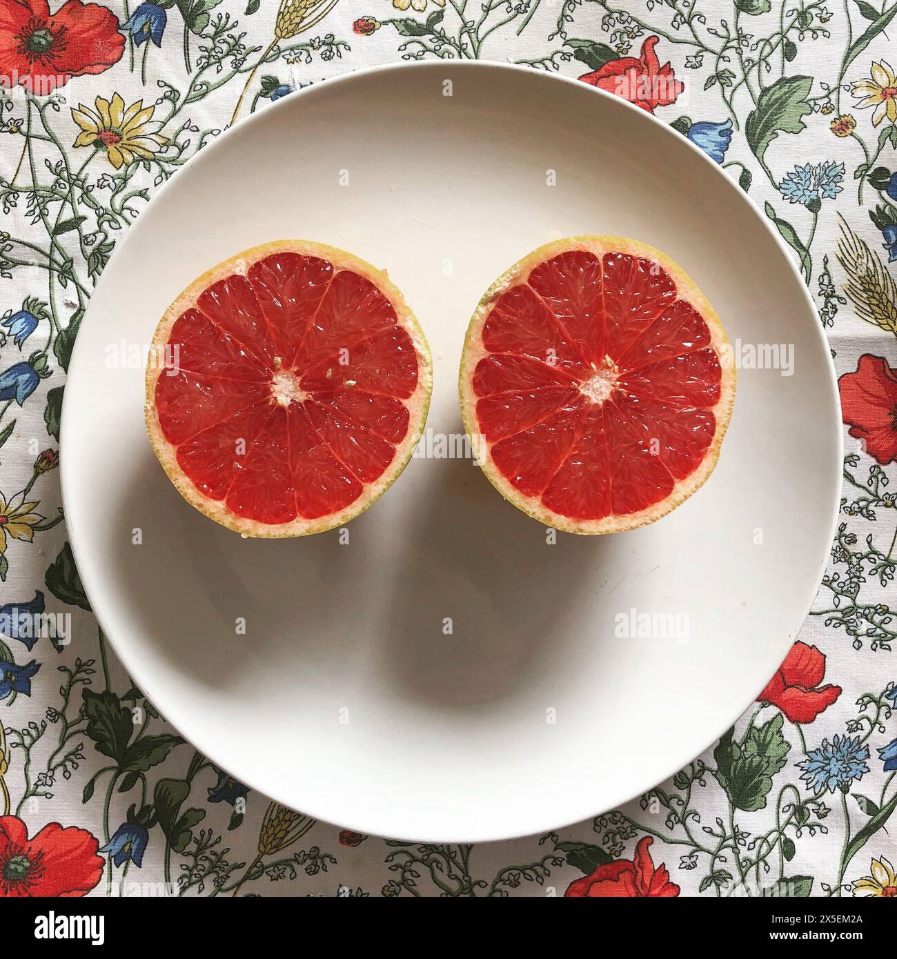 Citrus fruits overhead. Guadalajara, Mexico Stock Photo - Alamy