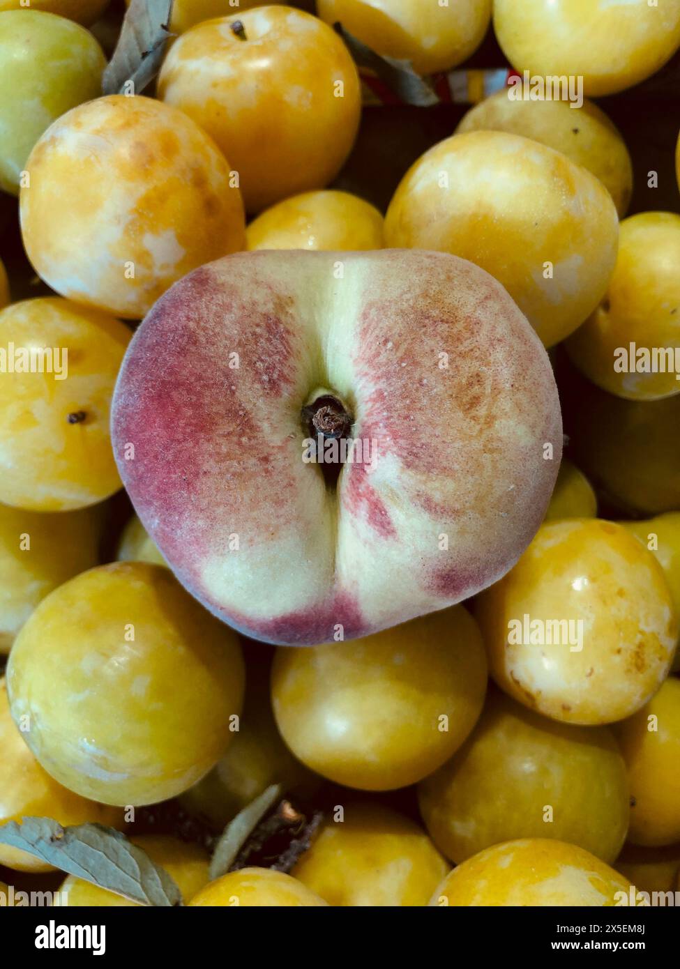 Fresh peach and yellow plums in a colorful summer display. Guadalajara ...