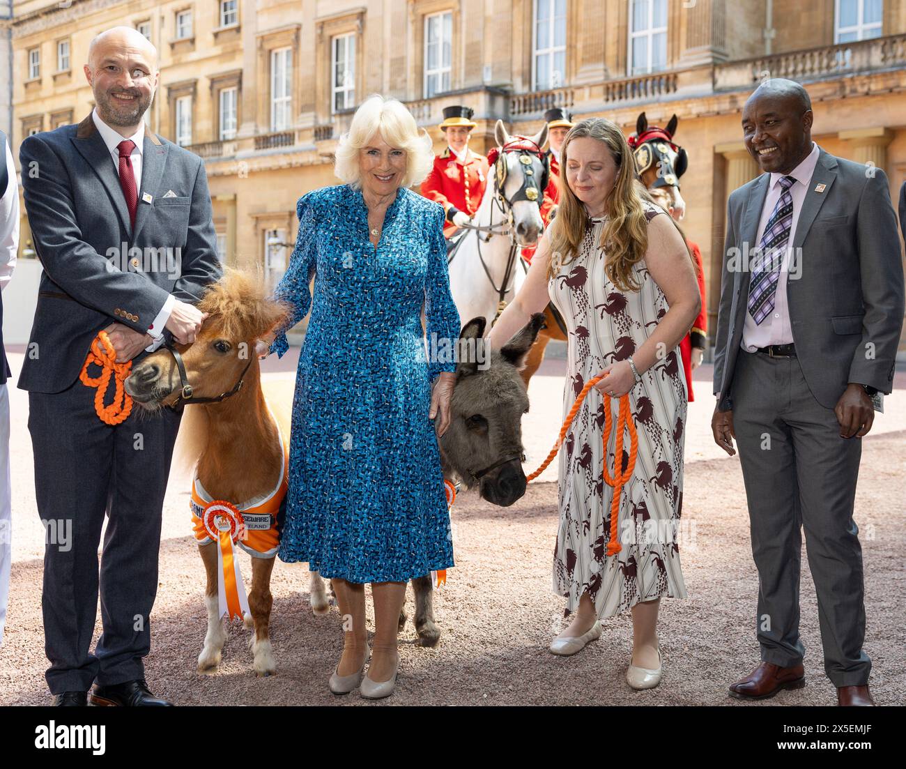 Queen Camilla with guests and mini ponies as she hosts a reception at ...