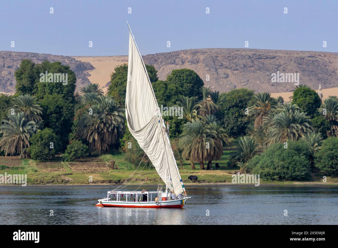 Pleasure boat on the Nile River in Egypt, with it's traditional tall ...
