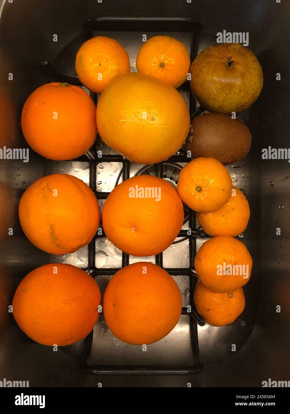 Citrus fruits overhead. Guadalajara, Mexico Stock Photo - Alamy